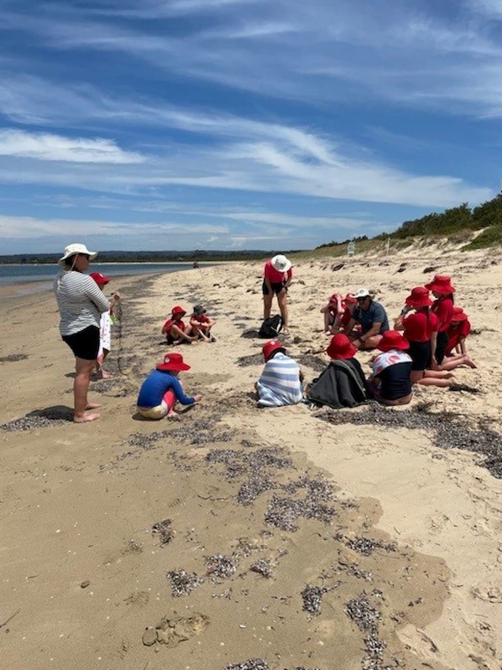 Archives | Boneo Primary School