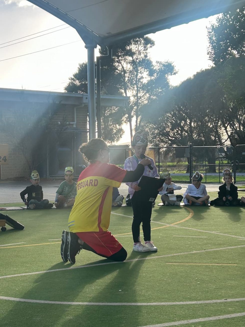 Boneo Buzz: 31st May | Boneo Primary School